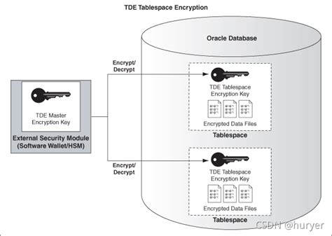Oracle 11g使用透明数据加密保护存储数据oracle11g Tde Csdn博客