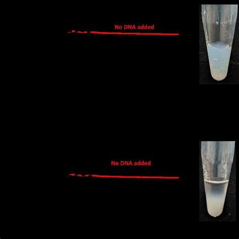 A Uv Vis Spectrophotometry I And Digital Image Ii After The