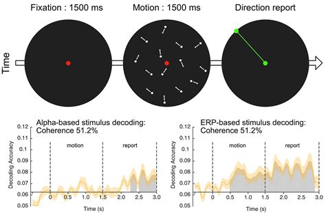New Paper Using Erps And Alpha Oscillations To Decode The Direction Of Motion — Luck Lab