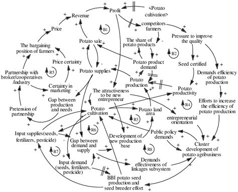 Causal Loop Diagram Of The Cluster Of Potato Agribusiness Download Scientific Diagram