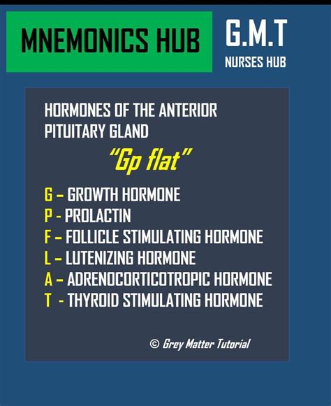 Mnemonics Endocrine System Grey Matter Tutorial