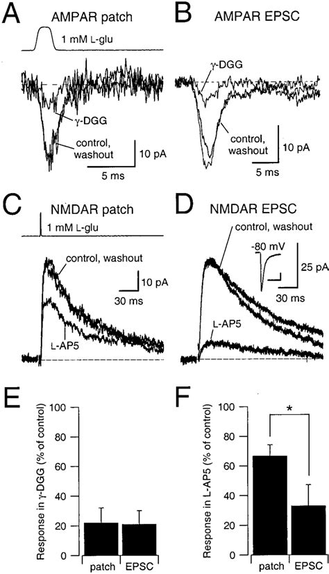 Nmdars Encounter Less Synaptically Released Glutamate Than Ampars A
