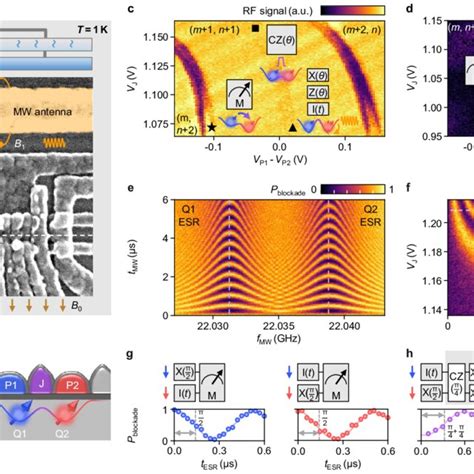 Initialisation And Readout A Two Qubit Algorithmic Initialisation Download Scientific