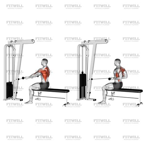 Cable Seated Supine Grip Row Exercise Guide Video Techniques Benefits How To Muscles