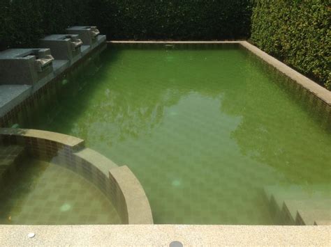 Pool And Service Cleaning 📲 061 582 8437 ช่างมู รับงานวันแรกก็ต้องปรับสภาพน้ำพร้อมดูแลทำความ