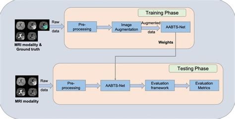 Axial Attention Convolutional Neural Network For Brain Tumor Segmentation With Multi Modality