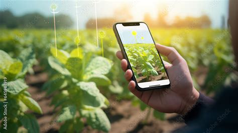 Ai Powered Pest Detection An Illustration Of A Farmer Using A Smartphone App With Ai Powered