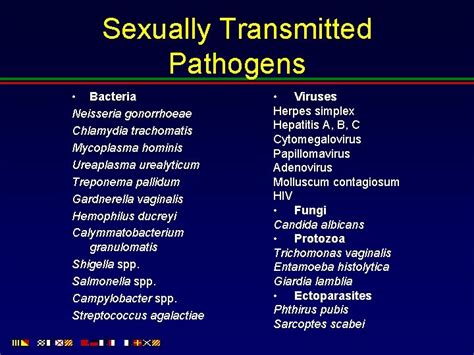 Sexually Transmitted Pathogens Bacteria Neisseria Gonorrhoeae Chlamydia