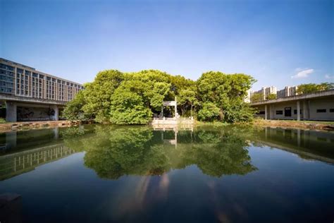 园中四季丨天将入伏，诗歌里藏着消暑良方 苏州孙武纪念园 文征明纪念园