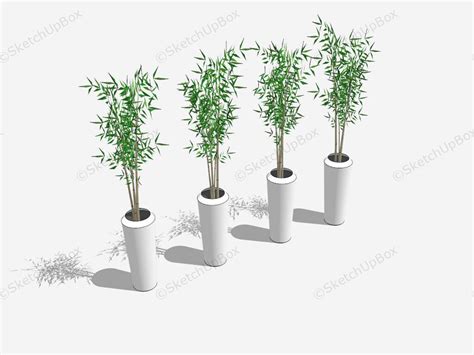 Indoor Bamboo Tree Plant Sketchup 3d Model Skp File Download Sketchupbox