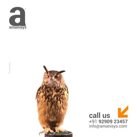 Abdul Nayeem On Linkedin Businessbrilliance Seoservices Advertisinglife Brandstrategy