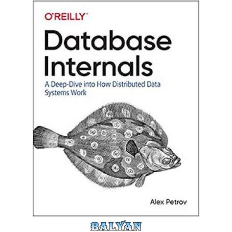 خرید و قیمت دانلود کتاب Database Internals A Deep Dive Into How Distributed Data Systems Work ترب