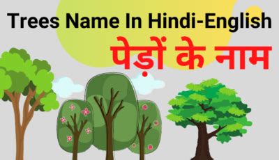 Daily Use English Words With Hindi Meaning