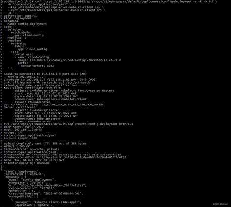客户端证书访问 kubernetes api kubelet访问api客户端证书 csdn博客