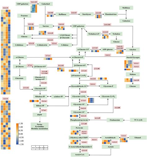 Degs Involved In Starch And Sucrose Metabolism Glycolysis The Pentose