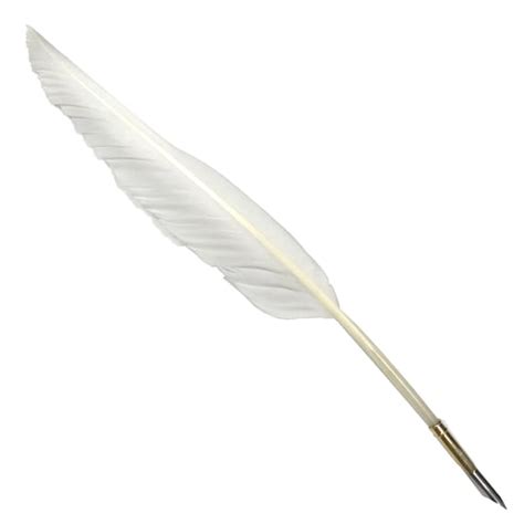 12 Goose Feather Quill With Brass Nib Holder Antique Etsy Australia