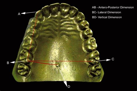 Master Model With Reference Points Download Scientific Diagram