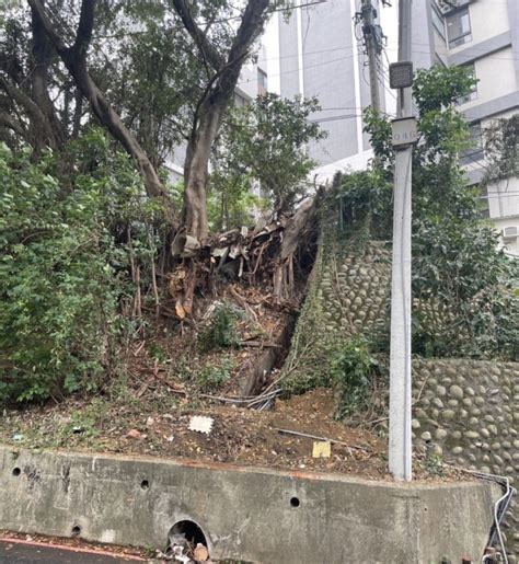 路樹倒塌傷亡事件引發權責爭議 鄭正鈐：協商保障民眾權益