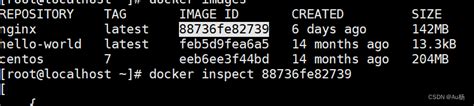 docker镜像与容器基本的基本操作 docker 镜像列表 csdn博客