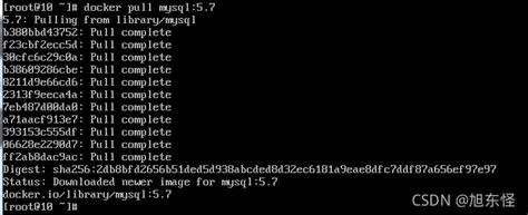 Docker 安装mysql（下载镜像、创建实例、启动、连接）docker下载mysql镜像 Csdn博客