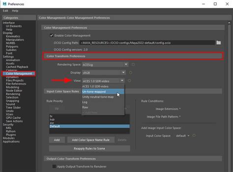 White Objects Appear Grey In Arnold Render View In Maya Arnold Render