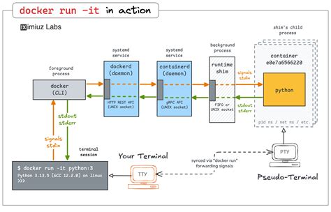 Docker 101 Run A Tty Controlled Container And Explore The Effect Of