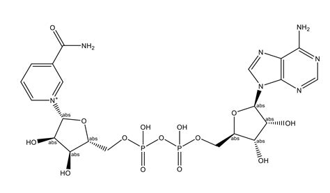 β-никотинамид-аденин-динуклеотид, НАД+ — RADSUBSTANCE