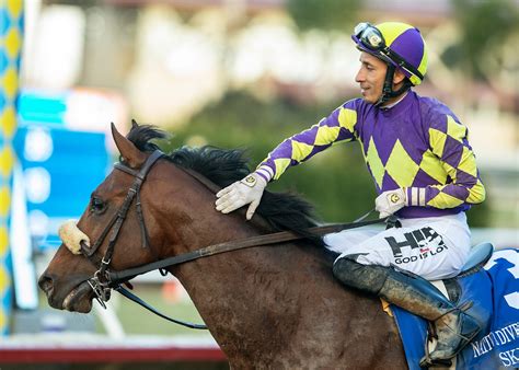 Skinner Express Train May Target Santa Anita Handicap