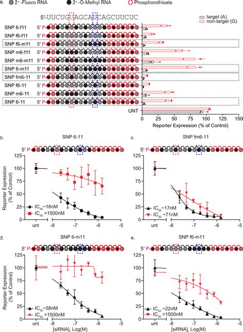 Chemical Modification Pattern Affects Allele Specificity And Efficacy A Download Scientific
