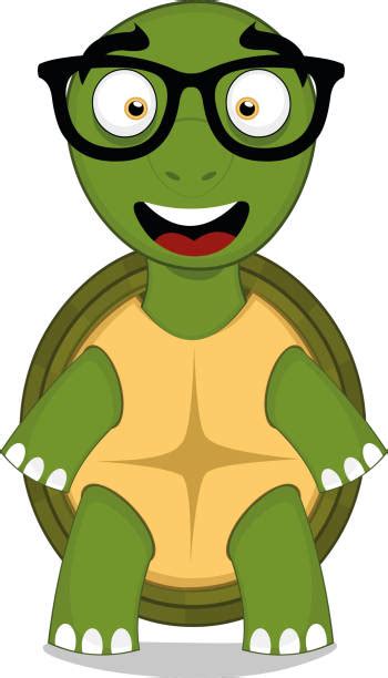 Cartoon Turtles With Glasses Illustrations Royalty Free Vector