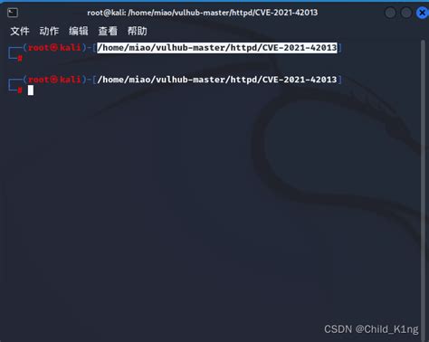 apache server 路径穿越漏洞 apache httd server status信息泄露 csdn博客
