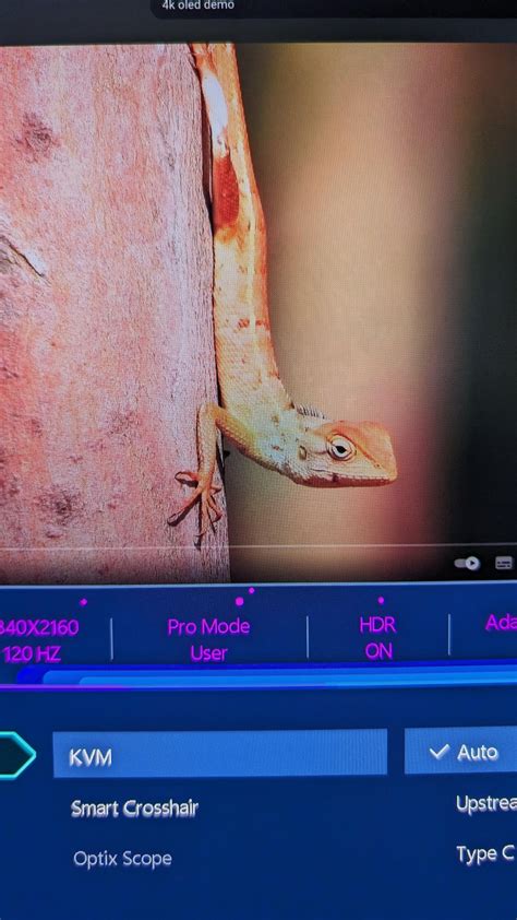 Help Me With Settings Please Roledmonitors