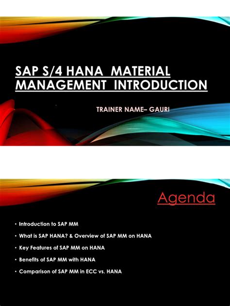 Sap Mm Hana Online Batch Pdf 1 Pdf