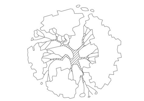 Tree Top View Free Cads