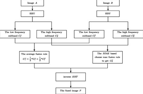 The Overall Fusion Architecture Of The Proposed Method Sist Shift Download Scientific Diagram