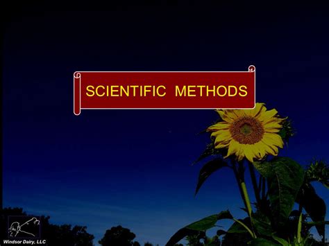 Windsor Dairy Seafood Intake Sexual Activity And Time To Pregnancy