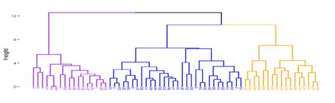 dendrogram showing hierarchical classification of 64 lentil genotypes