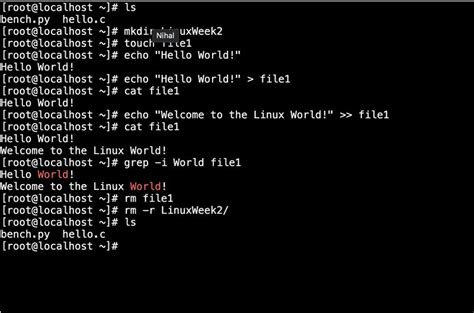 Nihal Singh On Linkedin Azuredevops Linux Devopsjourney Continuouslearning