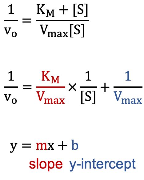 Experimental Enzyme Kinetics Linear Plots And Enzyme Inhibition Bioc