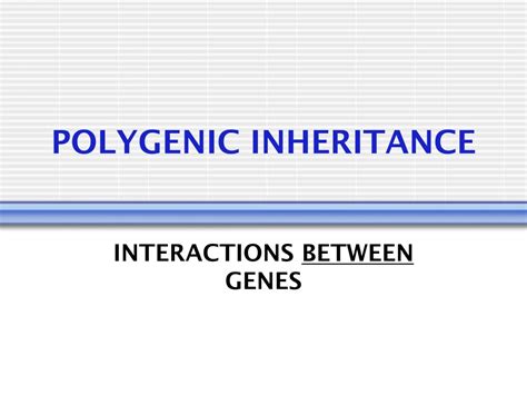 PPT Polygenic Inheritance Interactions Between Genes PowerPoint Presentation ID 9179242