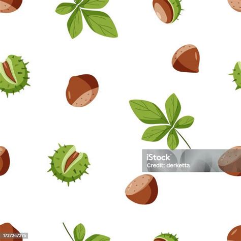 매끄러운 패턴 밤나무 세트 벡터 그림입니다 껍질과 나뭇잎에 밤나무 견과류의 만화 그림입니다 가을에 대한 스톡 벡터 아트 및 기타 이미지 Istock