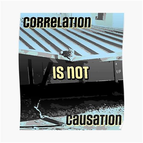 Correlation Is Not Causation Cat Poster For Sale By Mywifesidea Redbubble