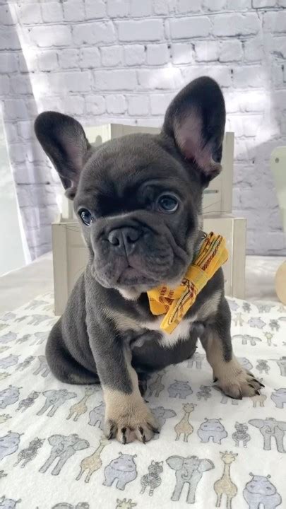 Lee Ann Murphy Posted On Linkedin