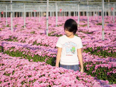 หนุ่มน้อยในทุ่งดอกไม้สีชมพู รูปภาพเด็กน่ารัก