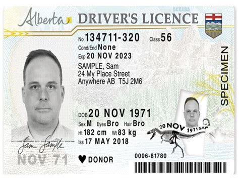 Alberta To Add Citizenship Marker To Driver S Licence Edmonton Journal