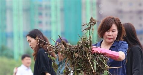 폭우로 인한 침수 피해 복구 한창