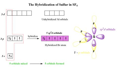 Sf4 Hybridization