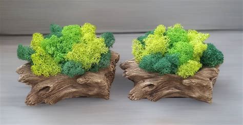 Кашпи със скандинавски мъх Сувенир Ръчно изработени Кашпи ”Пънчета” със скандинавски м