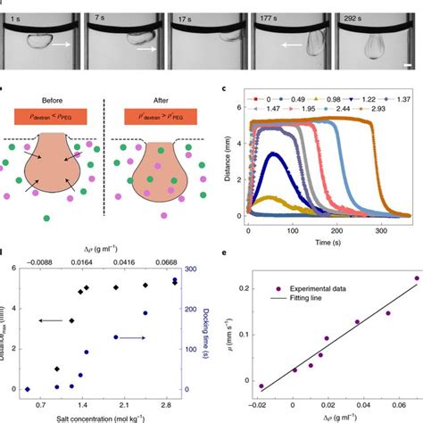 Meniscus Climbing Droplets With Different Behaviour A Schematic Of The Download Scientific