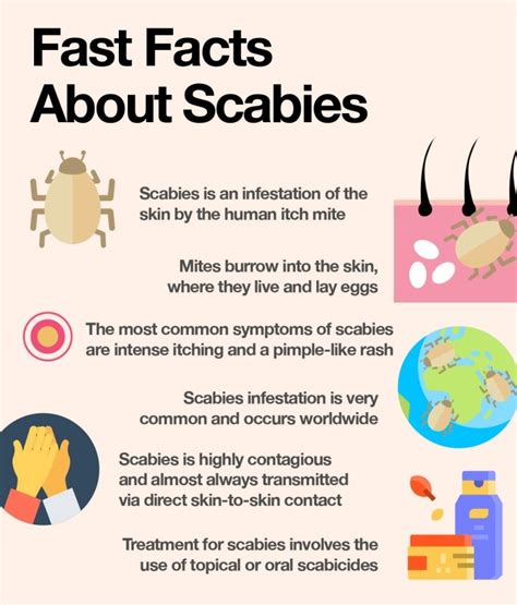 Scabies Outbreak In Malawi UPSC